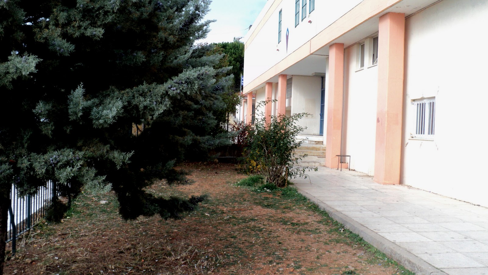 Παίδες εν δράσει...: Φώτο