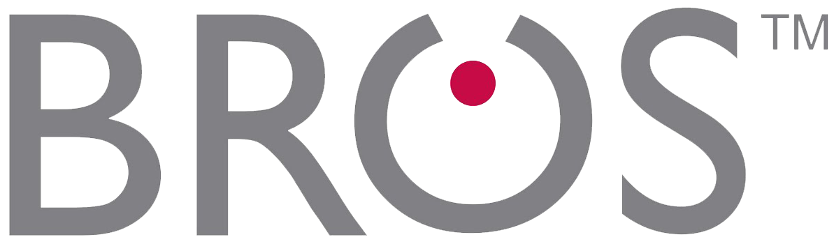 vfong's FYP (BROS): Situation Analysis