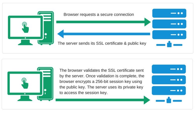 Ssl