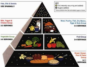 Macromolecules: Food Pyramid