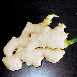 Alumni SIF7680: KHASIAT HALIA