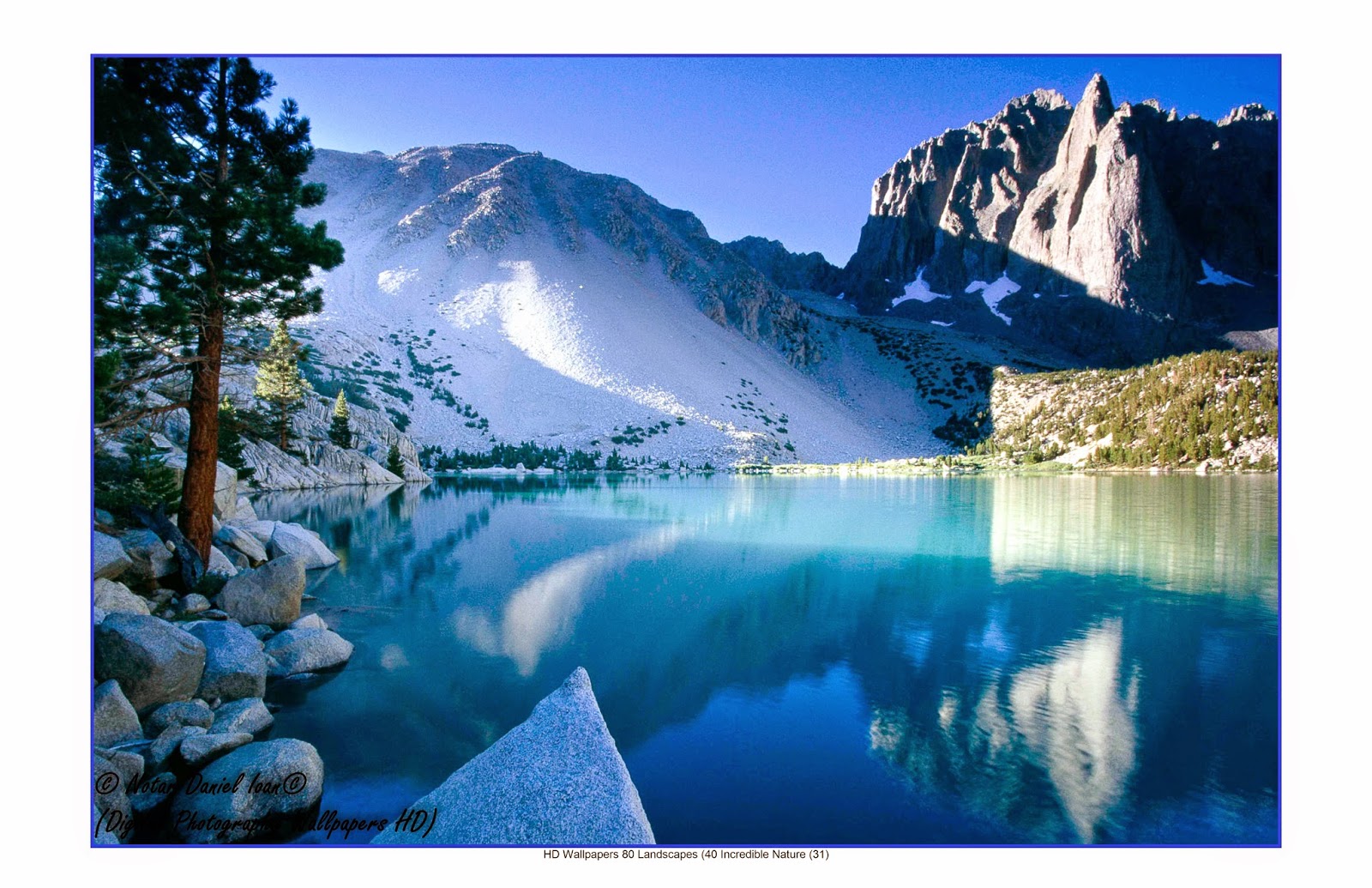 Cine e single si isi cauta iubit/iubita - Single Seeking Single ...