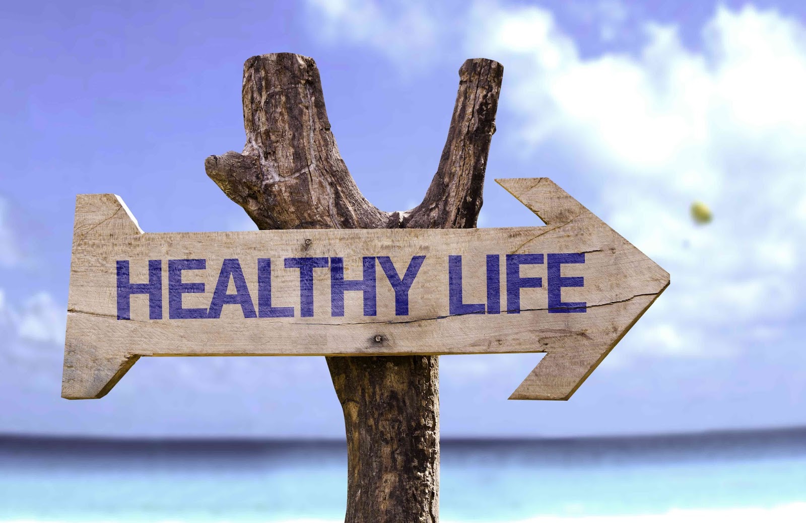 Amazing Healthy Life amazing-healthy-life
