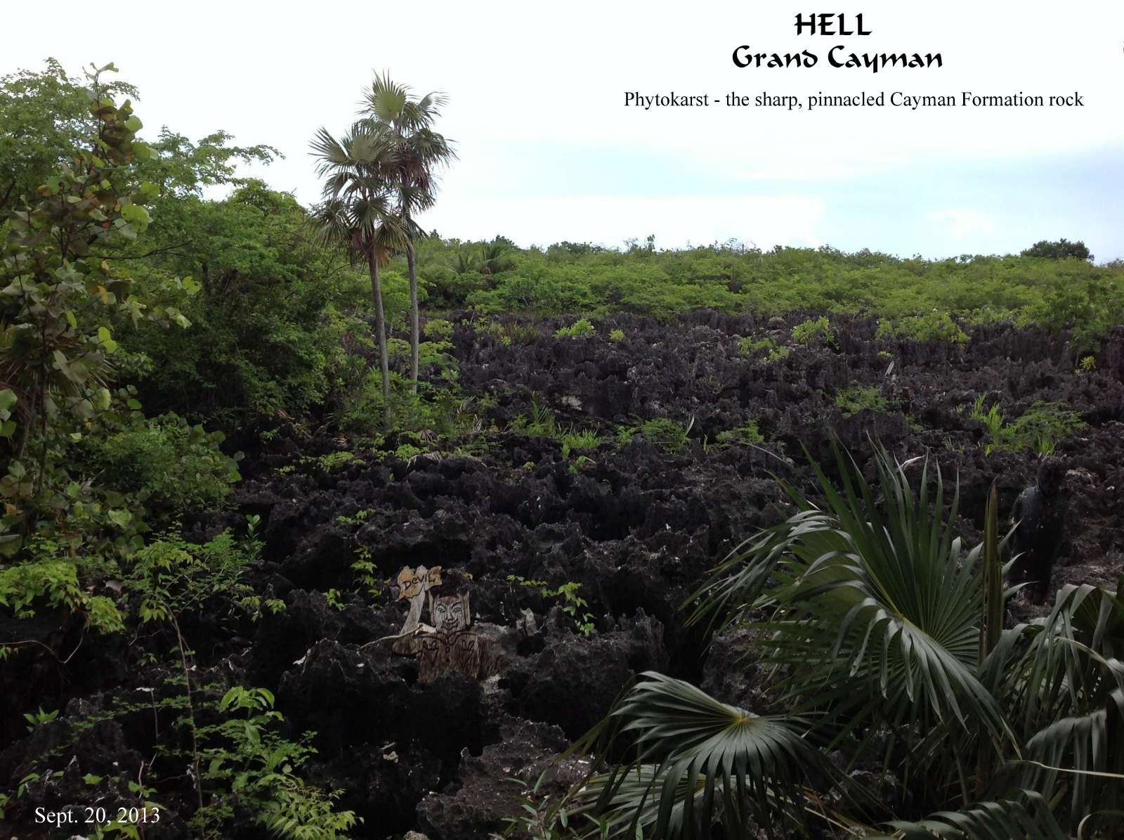 CaymANNature: Cayman Rocks – Caymanite and Phytokarst