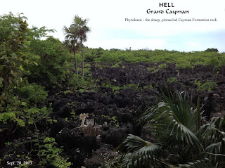 CaymANNature: Cayman Rocks – Caymanite and Phytokarst