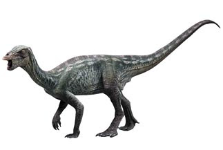 Species New to Science: [Paleontology • 2010] Koreanosaurus ...