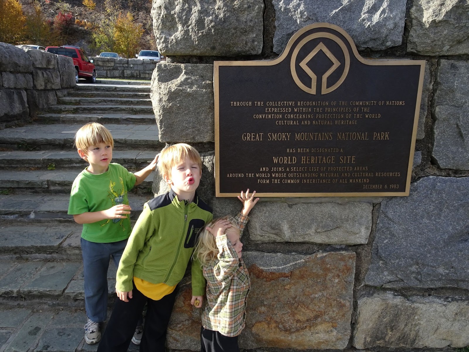 Femme au foyer: Autumn on Newfound Gap Road