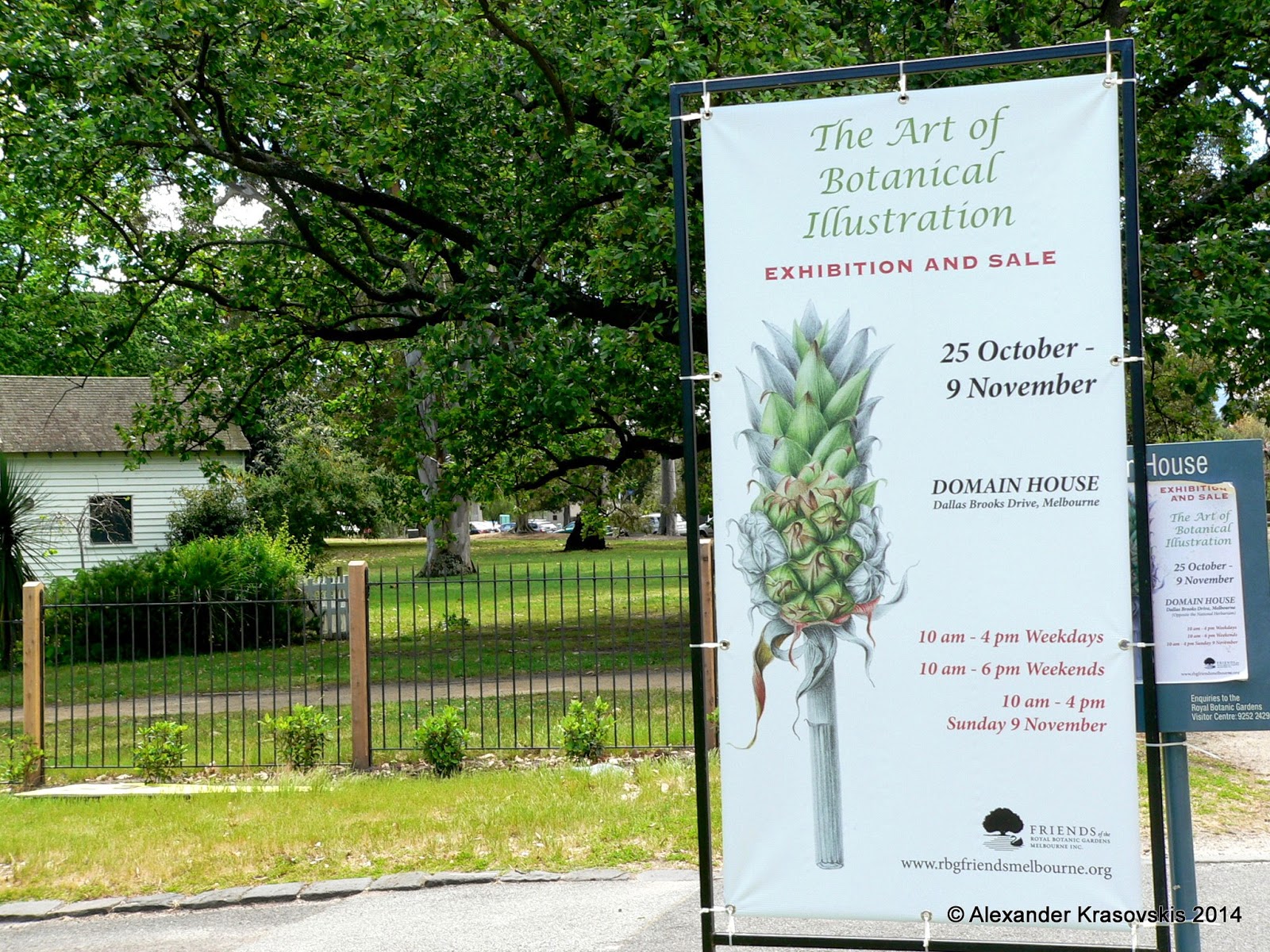 Aggregata Plants & Gardens: The Art of Botanical Illustration ...