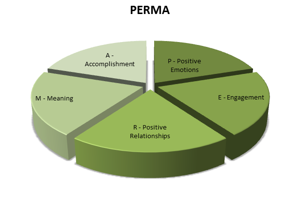 Positive Psychology for Life: May 2016