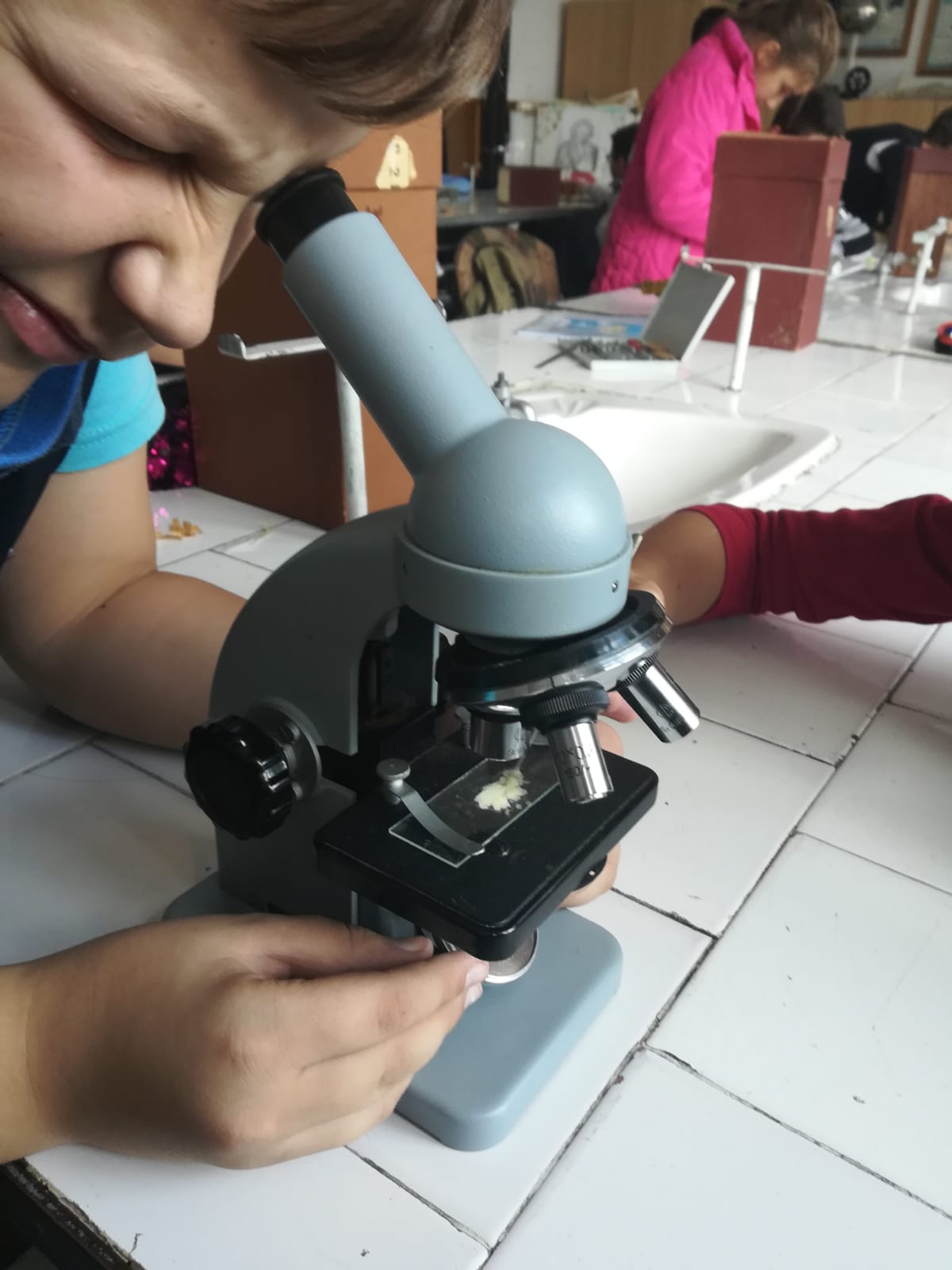 Micii cercetatori: 2019