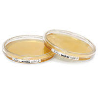 What is viable and nonviable Particle Count?