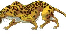 Abe's Animals: Sabor Leopard