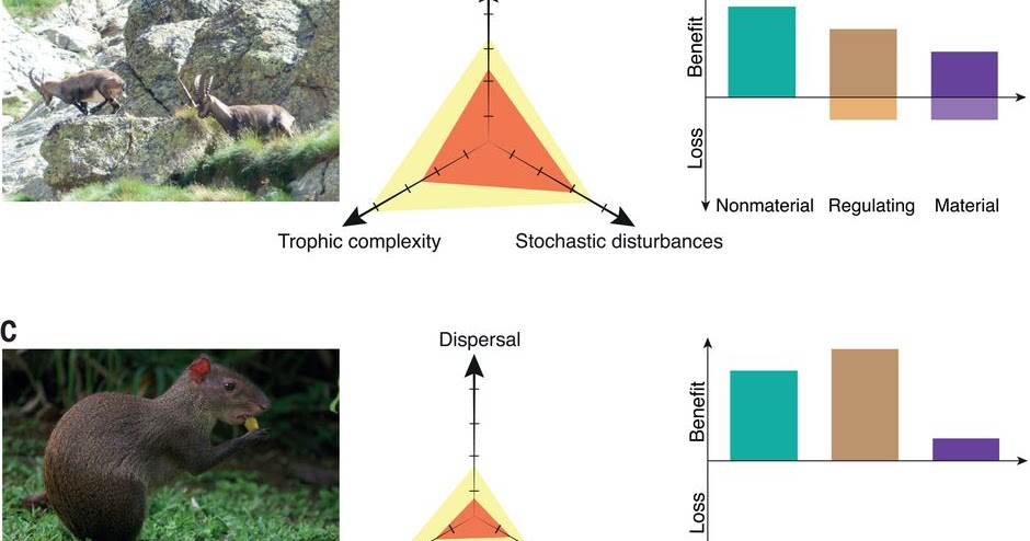 Animal Demography and Ecology Unit: New Publication on rewilding