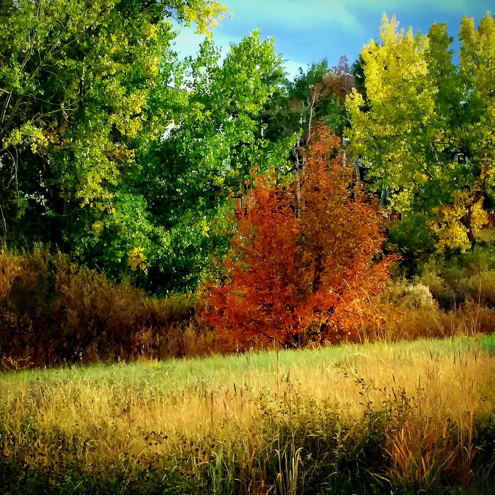 Read All The Things!: November Wrap-Up