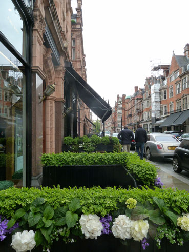 A Library of Design: The Surprises & Delights of London