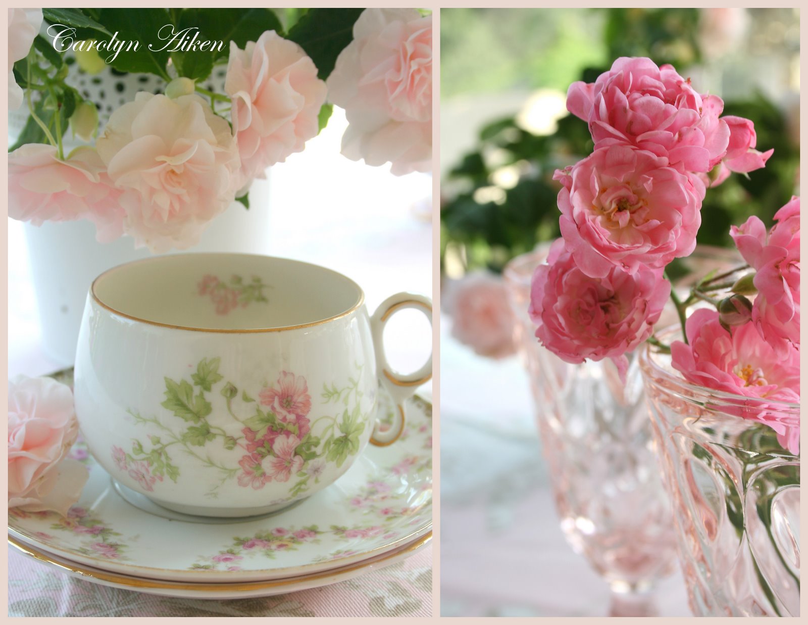 Aiken House & Gardens: Pink Dish Love!