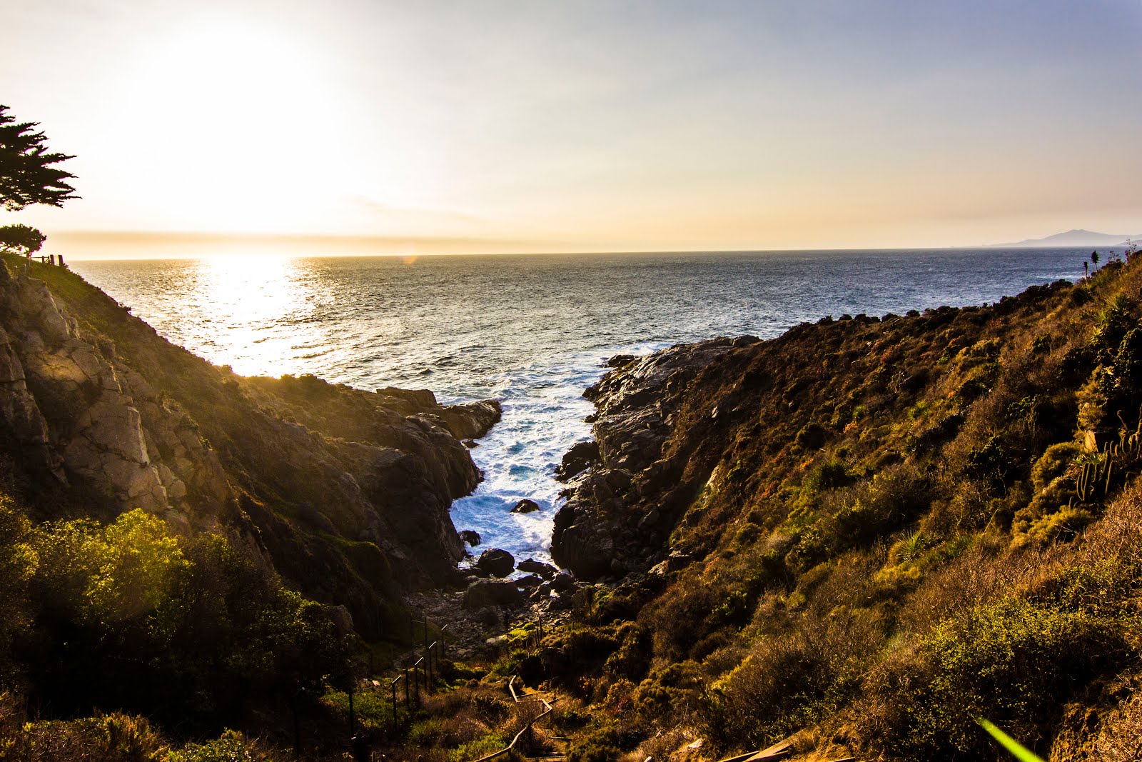 Un paseo por Punta Pite, un proyecto paisajístico de Teresa Moller ...