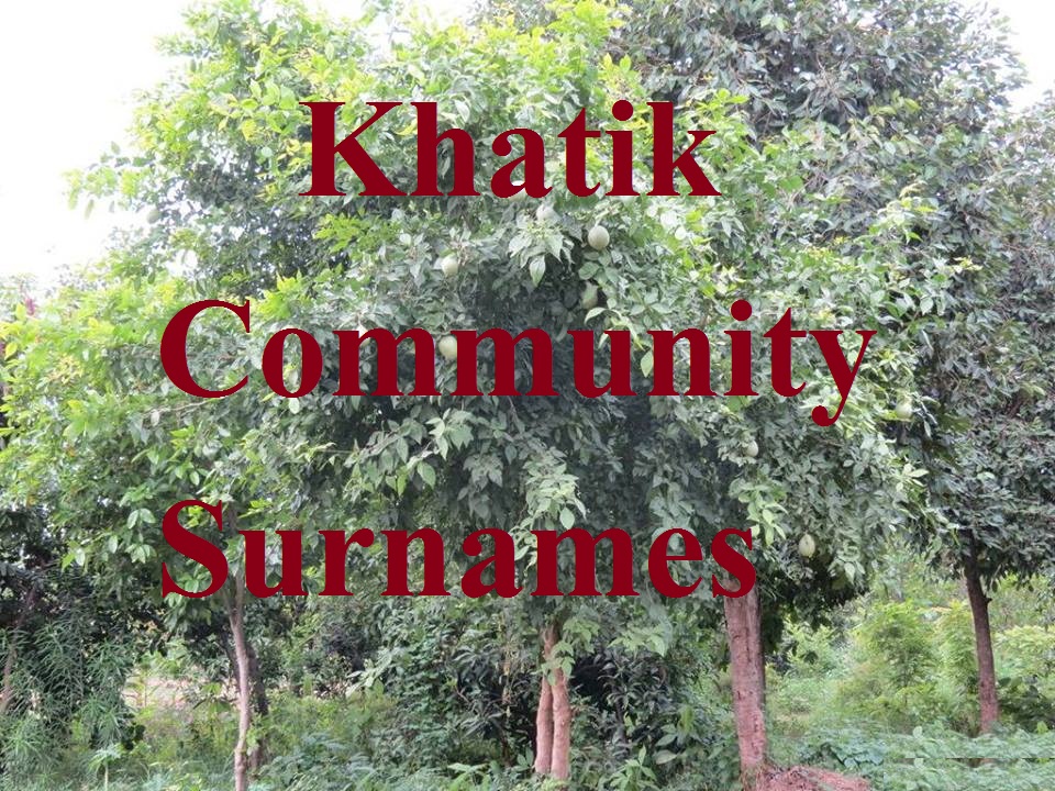 Khatik Samaj Community: Khatik Community Surnames