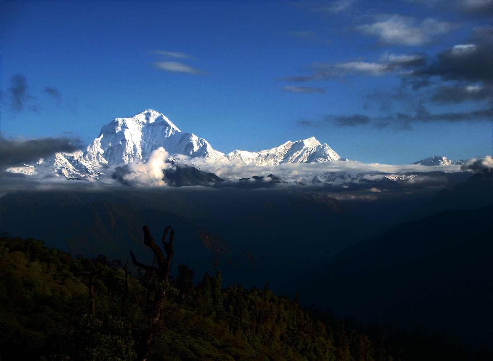 Dhaulagiri Circuit Trek: 2015