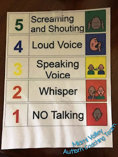 The Autism & Low-Incidence Coaching Team: April 2017