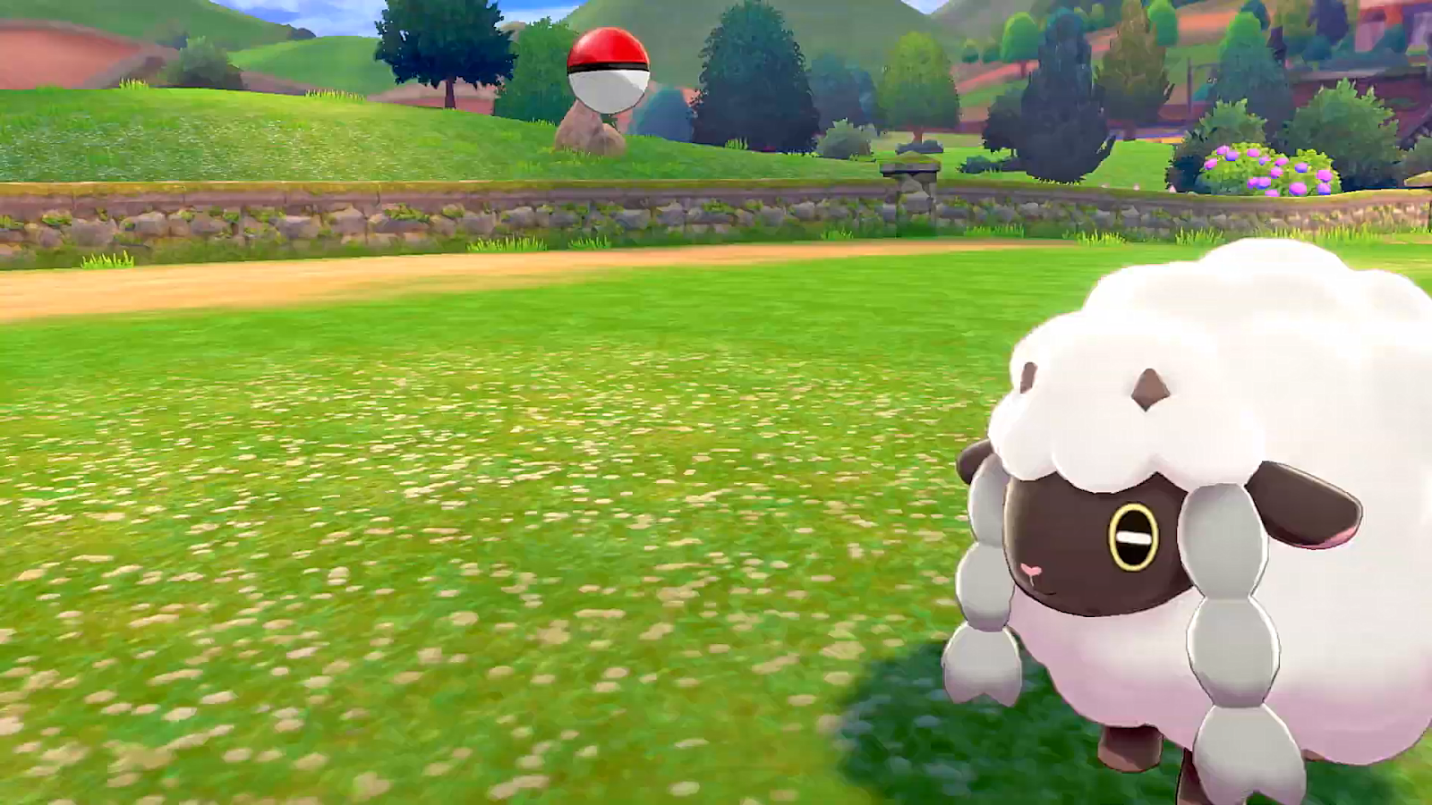 Poké-Arquivo: 831 - Wooloo ~ PMD || Acervo de Imagens de Digimon e ...