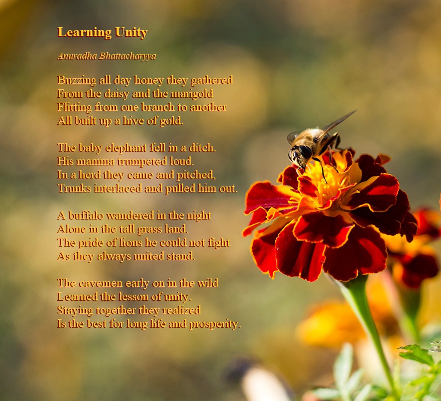 In Compassion: Learning Unity