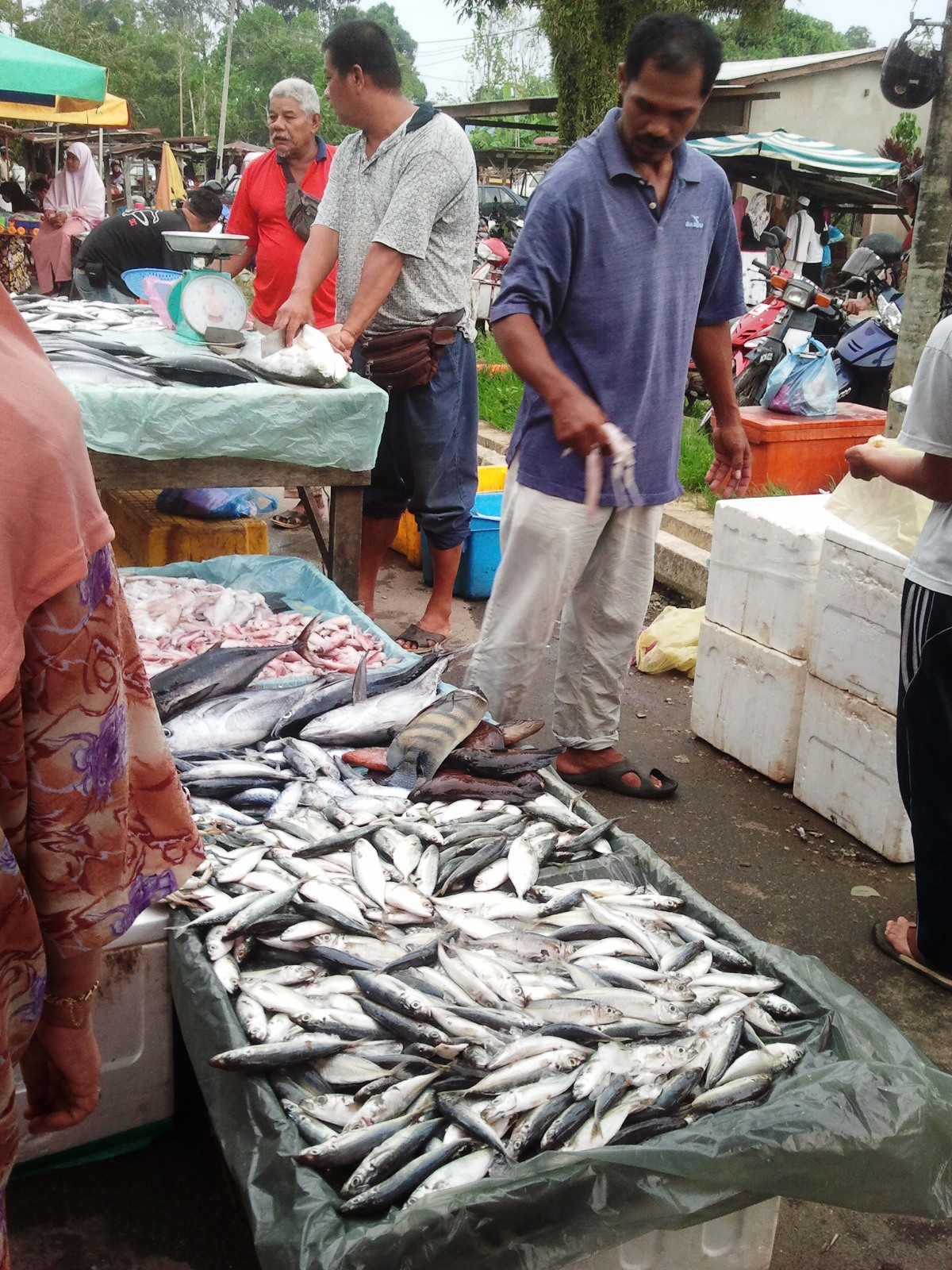 Johor Ke Terengganu.: Pasar Manir