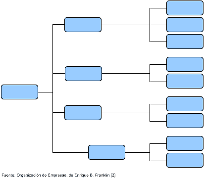 Tipos de organigramas | Vertical, Horizontal, Circular, Mixtos