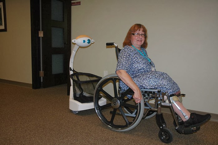 Simple and Effective Budgee Robot is a Bridge to Full Assistant Robot