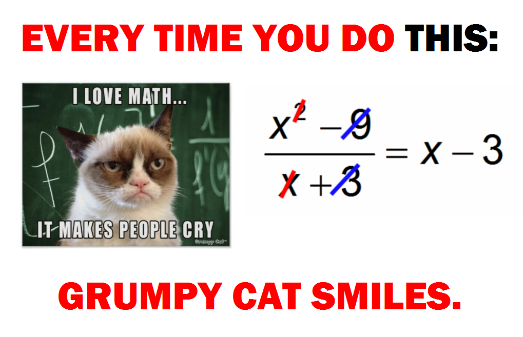 Grumpy Cat Algebra