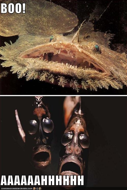 Fiction University: Happy Halloween!