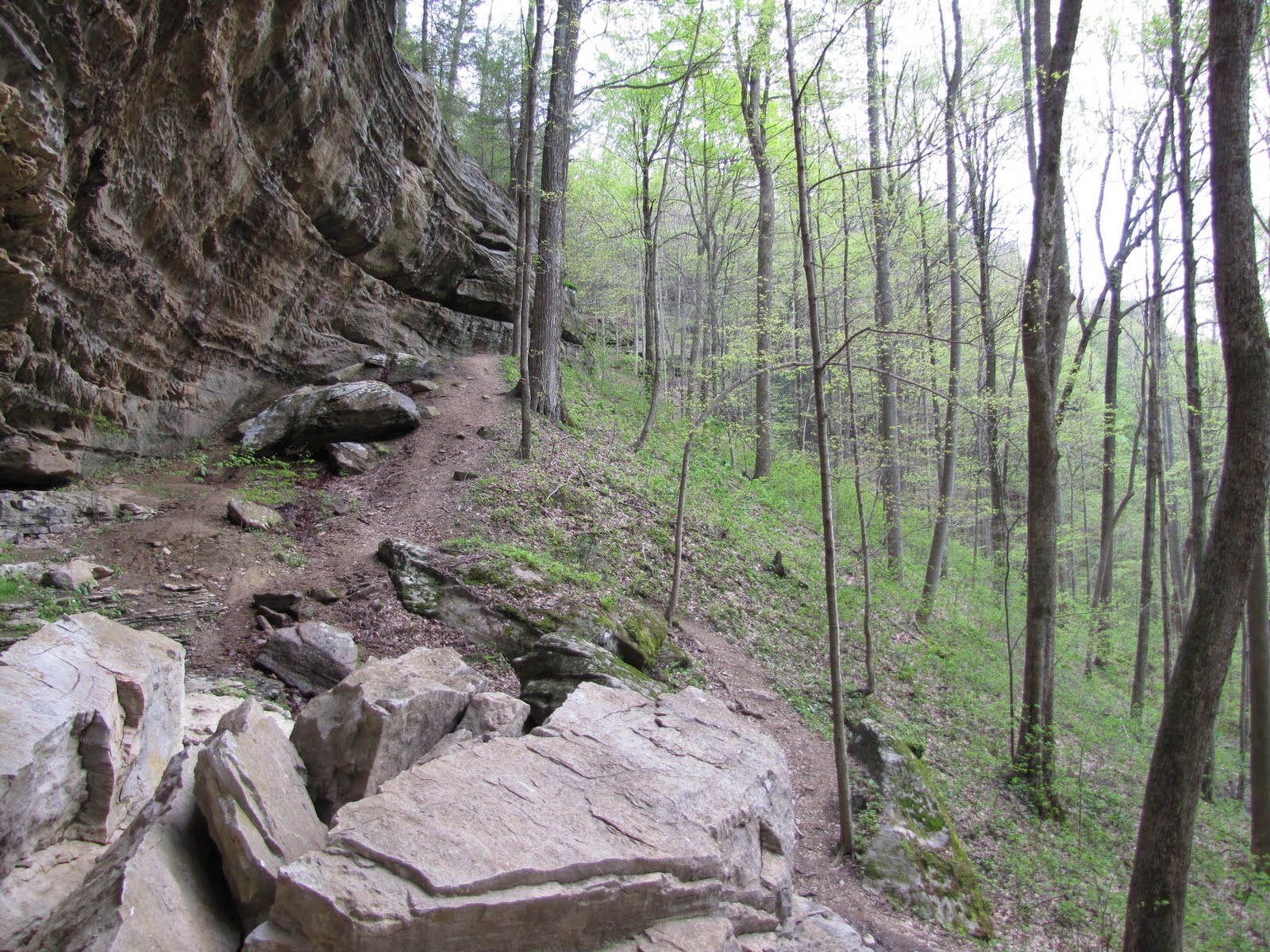 Appalachian Heartbeat: Springtime in the Beautiful Knobs of Kentucky