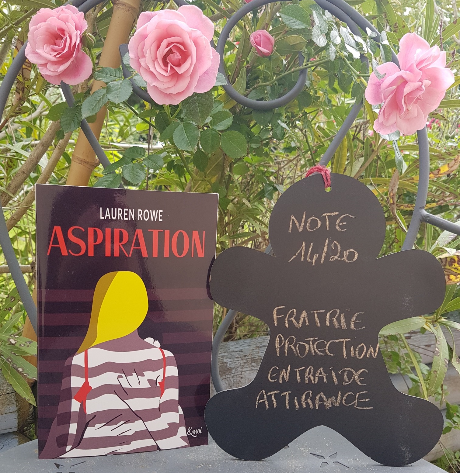 Les lectures de Mylène: Kat & Josh, tome 1 : Aspiration de Lauren Rowe