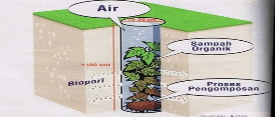 -BIOPORI-: PENGERTIAN BIOPORI
