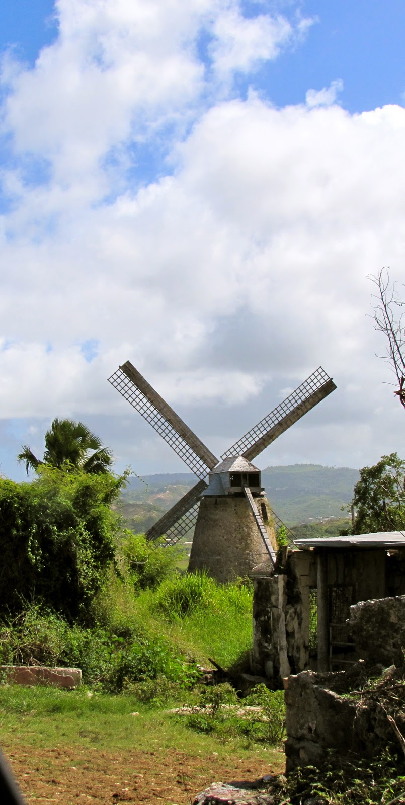 Loop Barbados: The Rescued Barbadian Site- Morgan Lewis Windmill