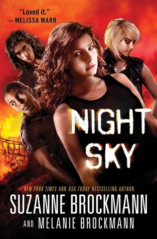 DOUBLE REVIEW: Night Sky (Night Sky #1) & Wild Sky (Night Sky #2) by Suzanne Brockmann and ...