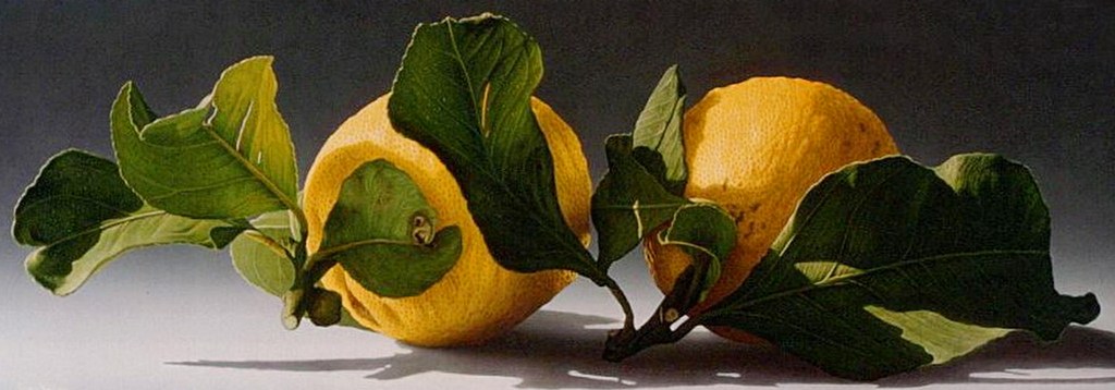 IMAGENES Y CONCEPTOS DEL ARTE MODERNO: Bodegón