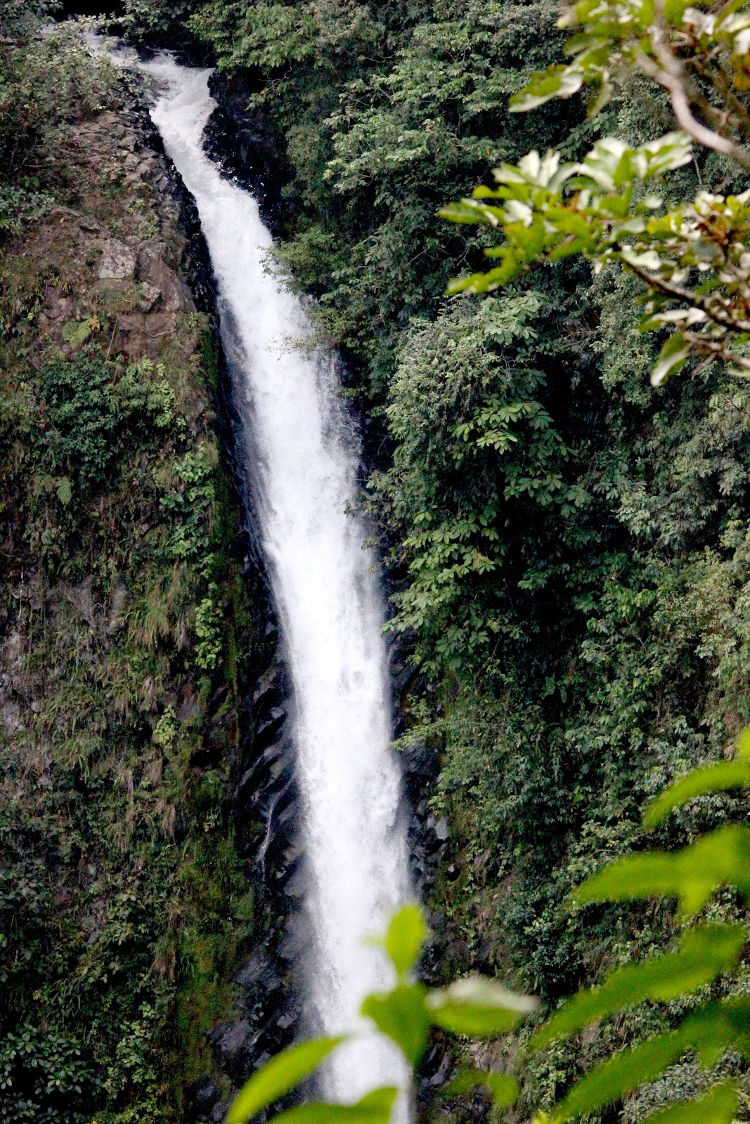 SCILLYSPIDER: Arenal Volcano National Park