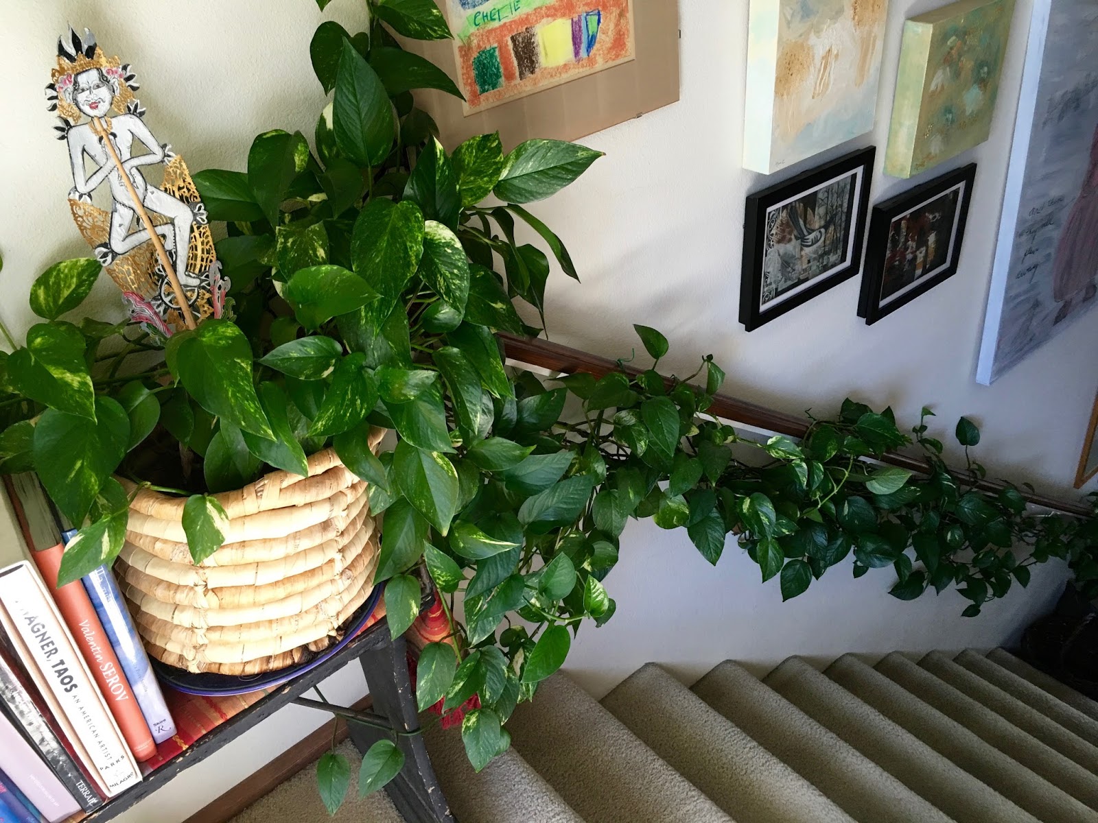 Noël's Cocoon: Pothos Descending a Staircase