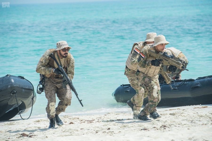 Asian Defence News: Egyptian Navy SOF With Beretta ARX-160 rifles ...