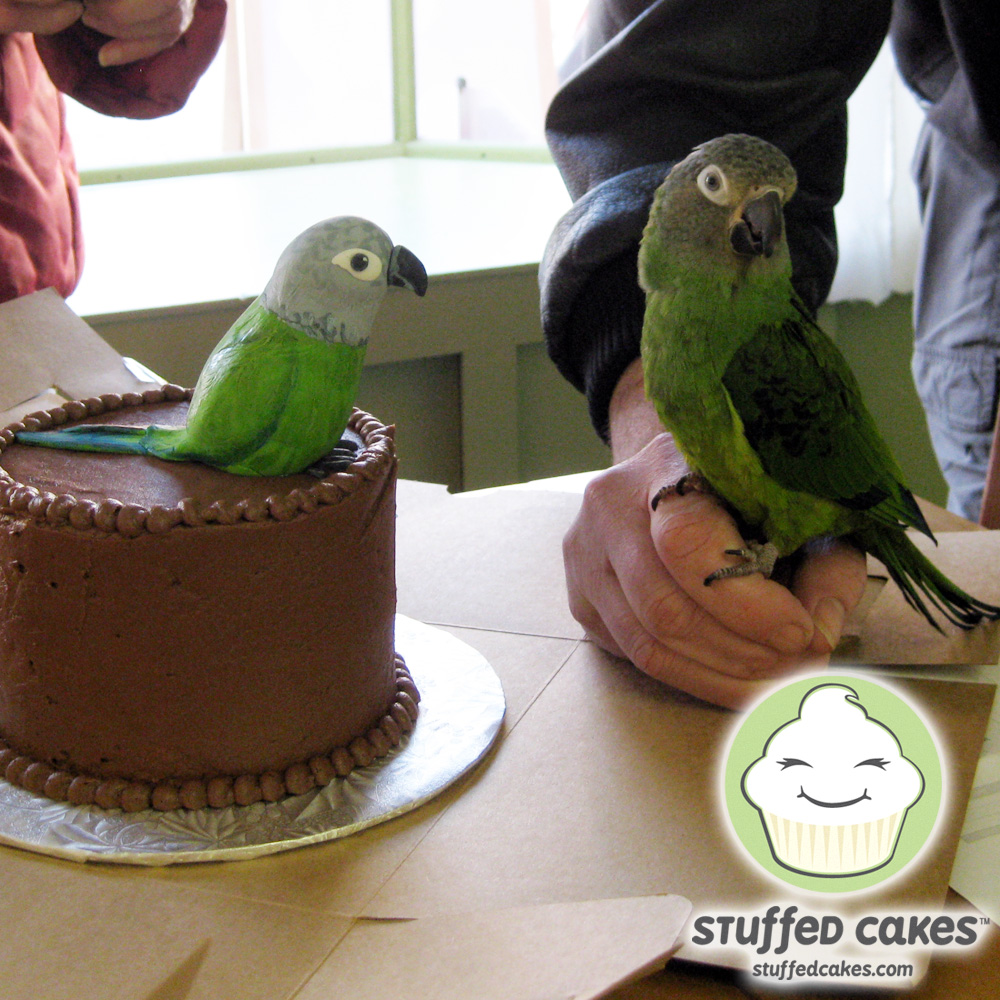 Stuffed Cakes: Pickle the Parrot Cake