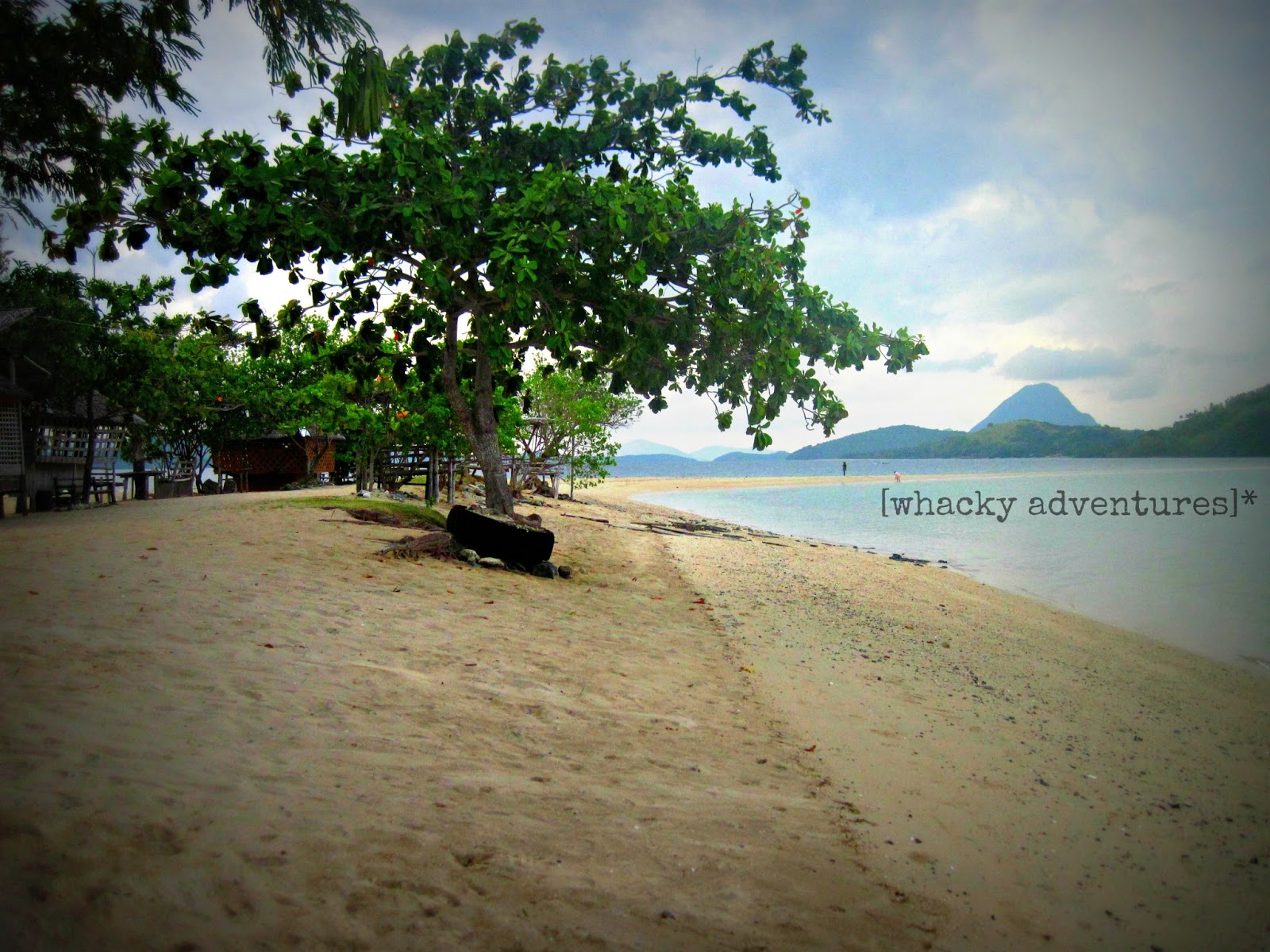 Whacky Adventures*: Sandbar Island Beach Resort, Concepcion, Iloilo ...