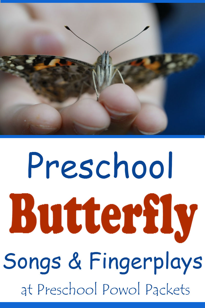 Preschool Butterfly Theme with Science Experiments, Crafts, and More ...
