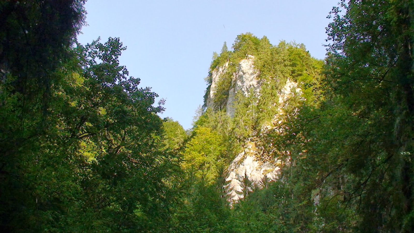 TUDOR PHOTO BLOG: Padis-Zona Turistica,Padis-Touristic Zone,Muntii ...