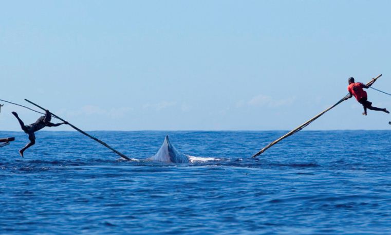 Wisata desa budaya lamalera - lembata, nusa tenggara timur | Infoindoku ...