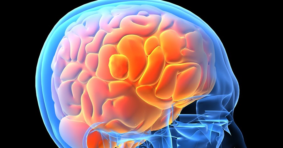 My ASD Child: The Autistic Brain: Malfunction or Human Evolution?