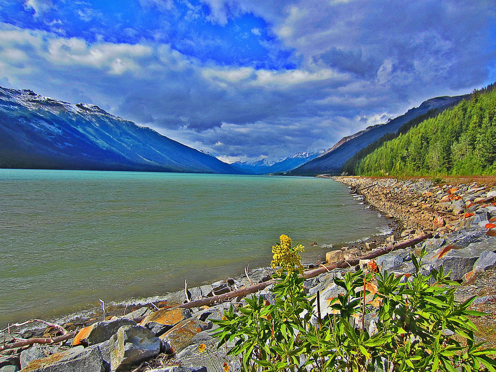Vancouver - My home away from home ♥: From Jasper, AB to Blue River, BC