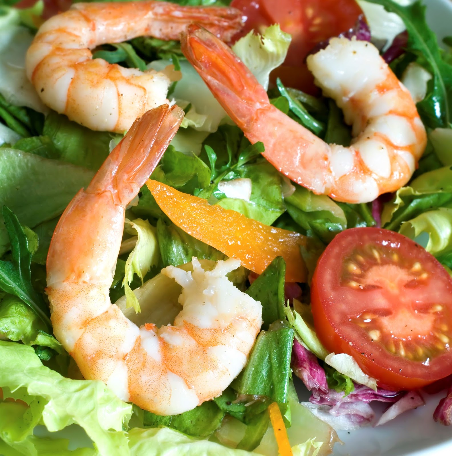 Banco de Imágenes Gratis: 9 fotos de comida del mar, carnes y ensaladas ...