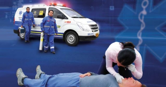 EMS SOLUTIONS INTERNATIONAL marca registrada: Manual del Primer ...