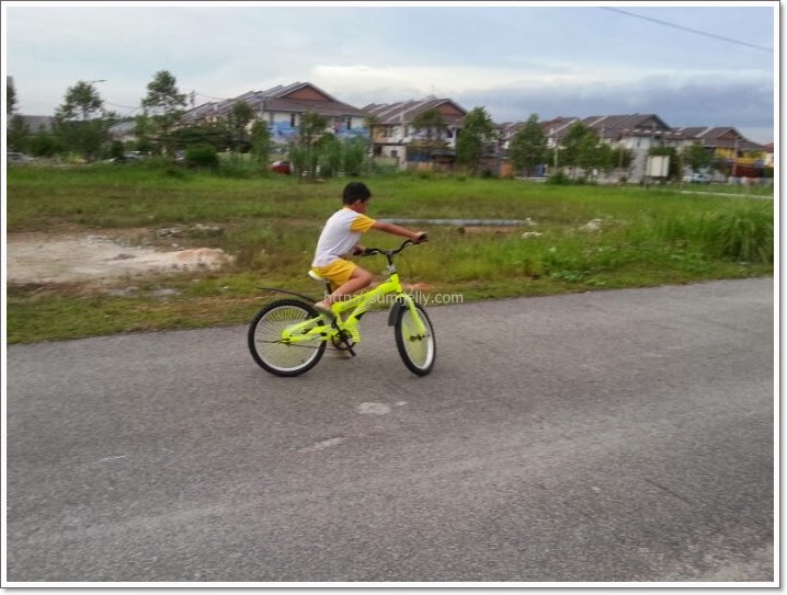 Nama Basikal Tayar Besar